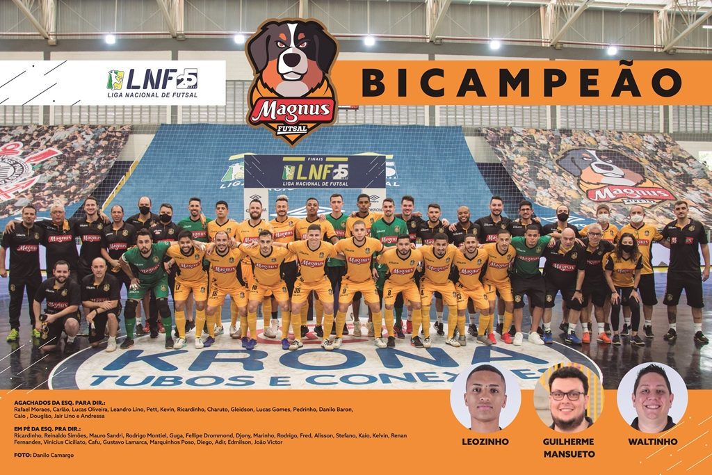 Pôster e Wallpaper do Magnus – LNF