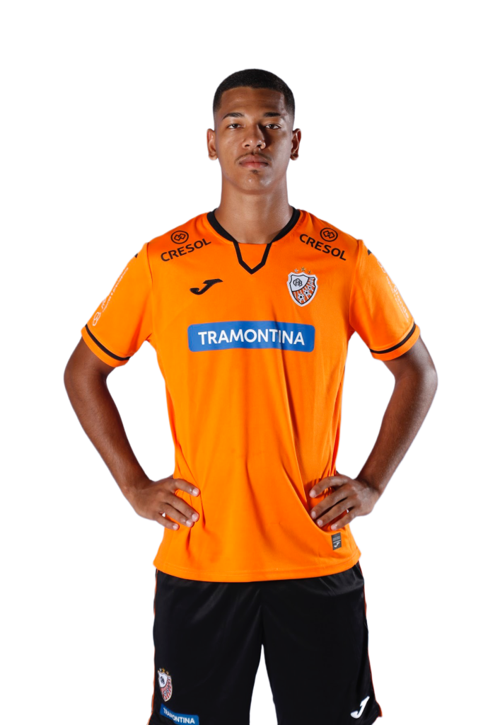 Vinicius Silva Moura – LNF